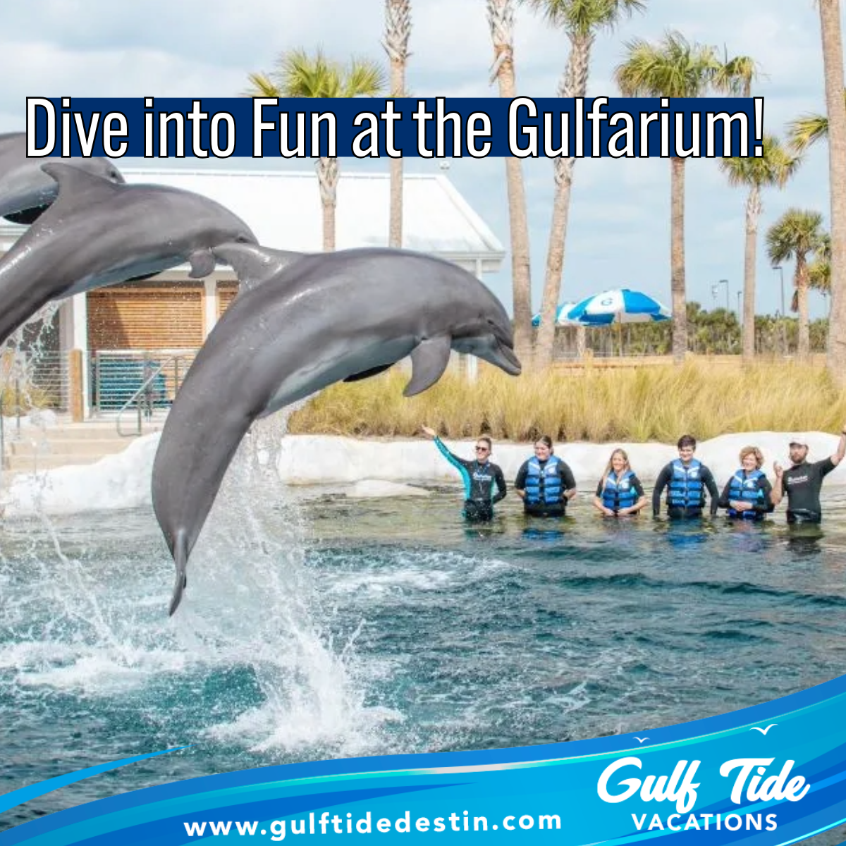 Dive into Fun at the Gulfarium! Your Must-Add to Your Destin Vacation ...